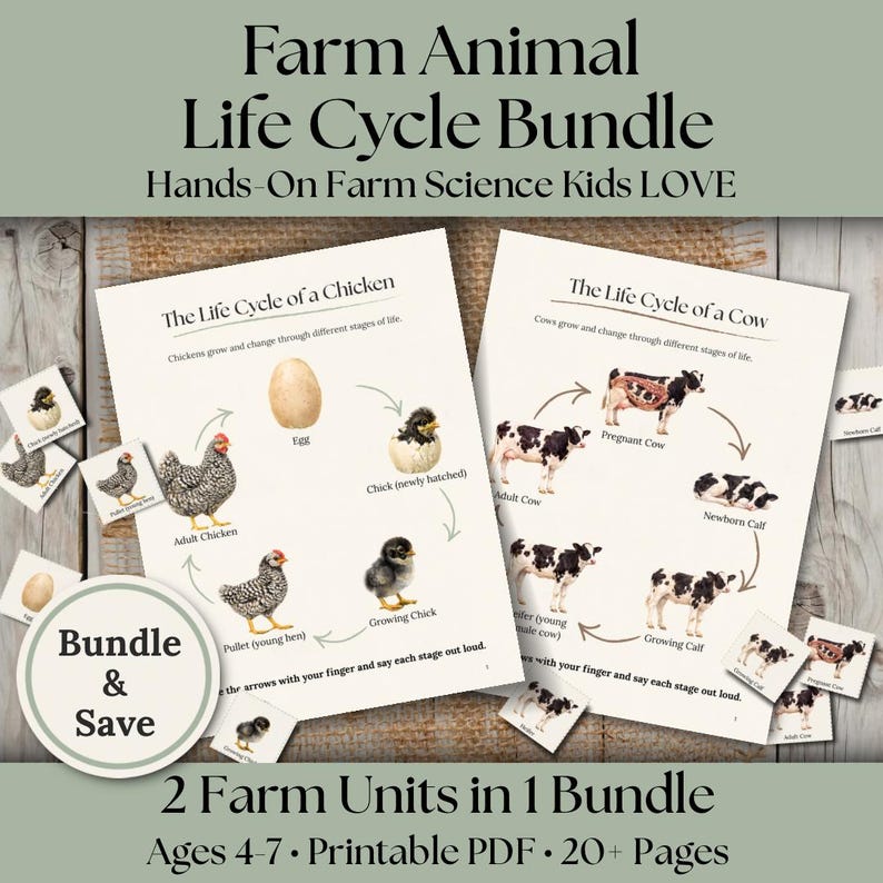 Farm Animal Life Cycle Printable | Chicken, Cow Unit Study (ages 4-7 ...