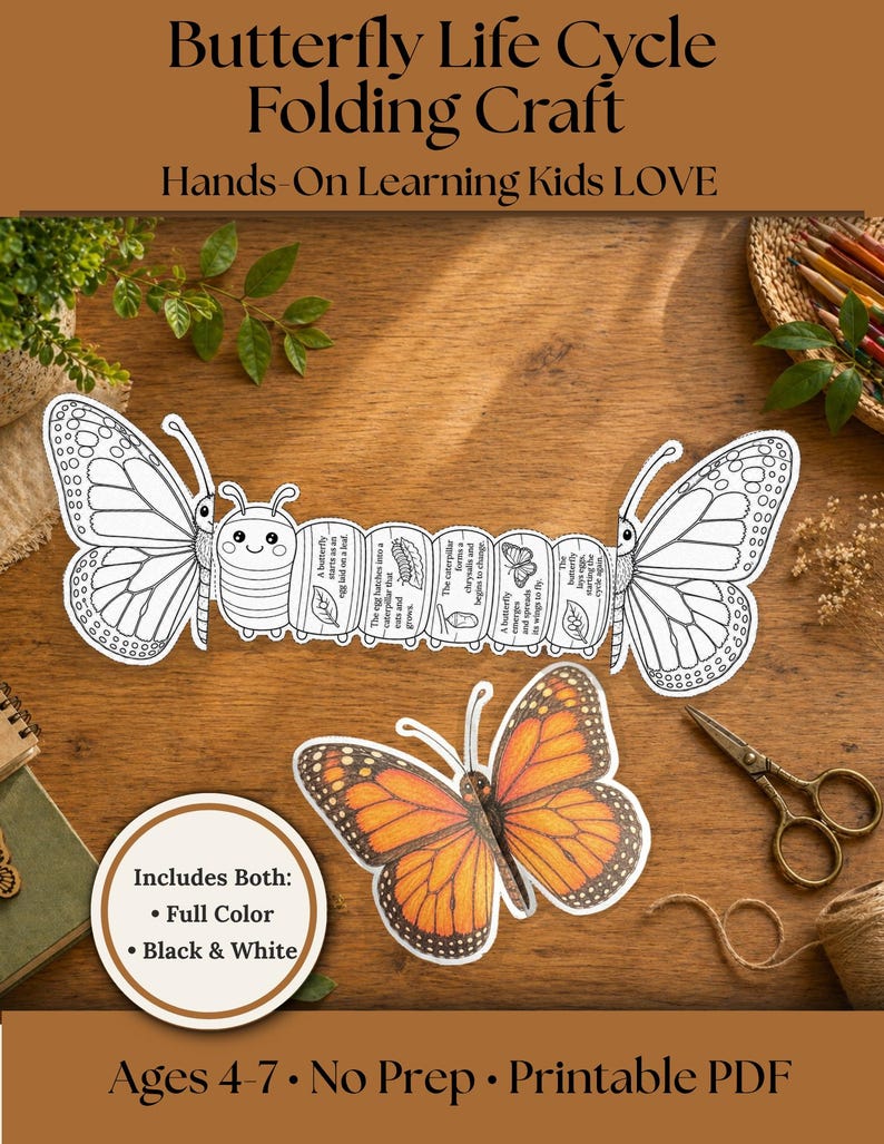 Butterfly Life Cycle Craft Printable | Interactive Accordion Activity ...
