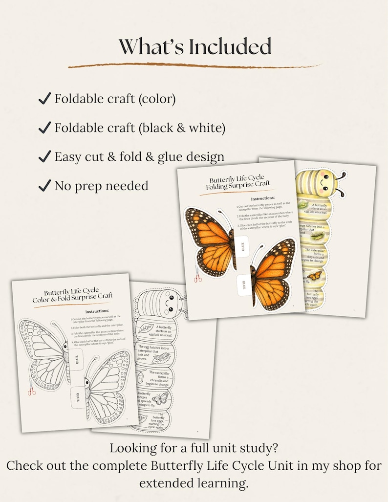 Butterfly Life Cycle Craft Printable | Interactive Accordion Activity ...