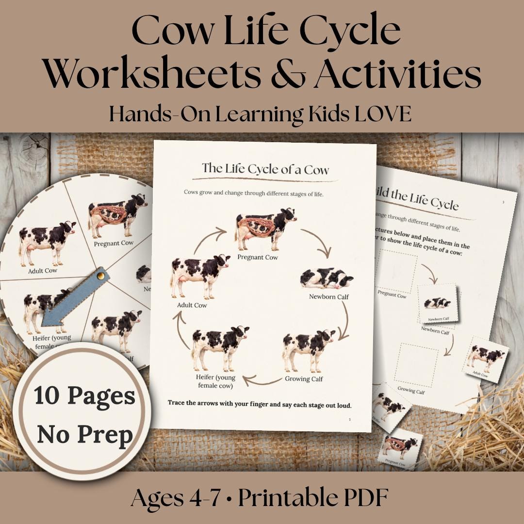 Cow Life Cycle Activities | Farm Unit Study Printable | Homeschool ...