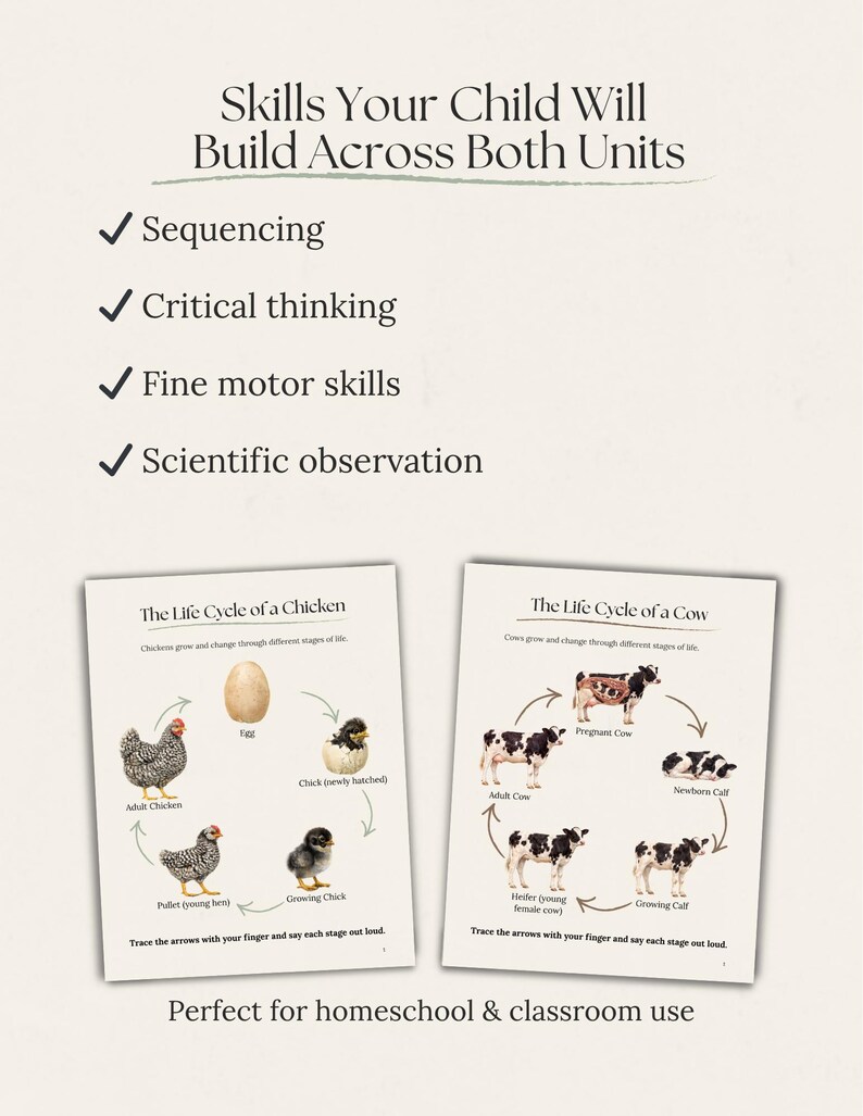 Farm Animal Life Cycle Printable | Chicken, Cow Unit Study (ages 4-7 ...