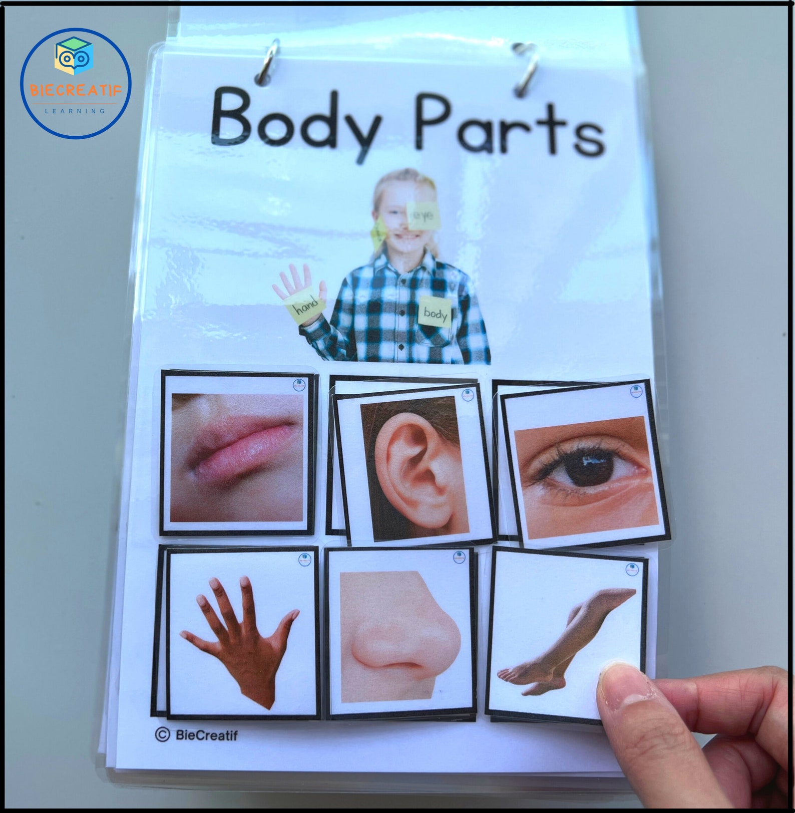 Category Matching Activity | Sorting Mat| Early Education| Special ...