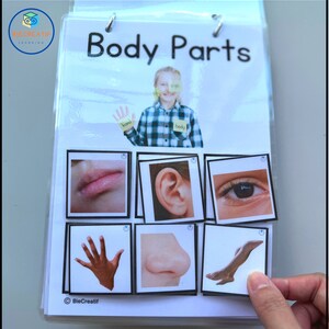 Category Matching Activity | Sorting Mat| Early Education| Special ...