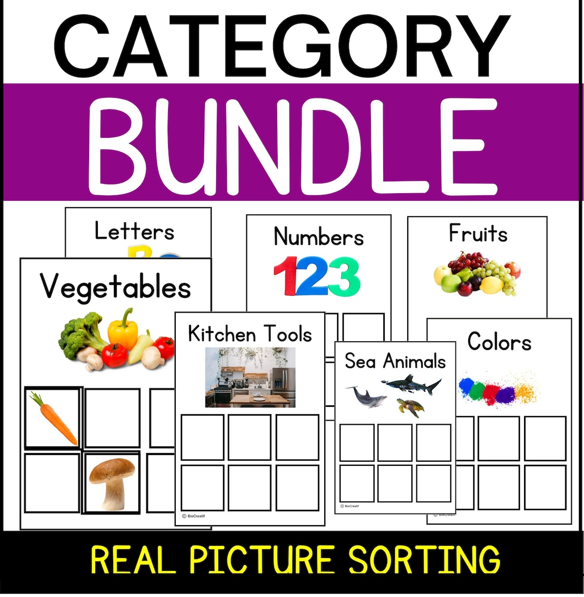 Category Matching Activity Sorting Mat Early Education - Etsy
