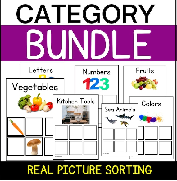 Category Matching Activity Sorting Mat Early Education | Etsy
