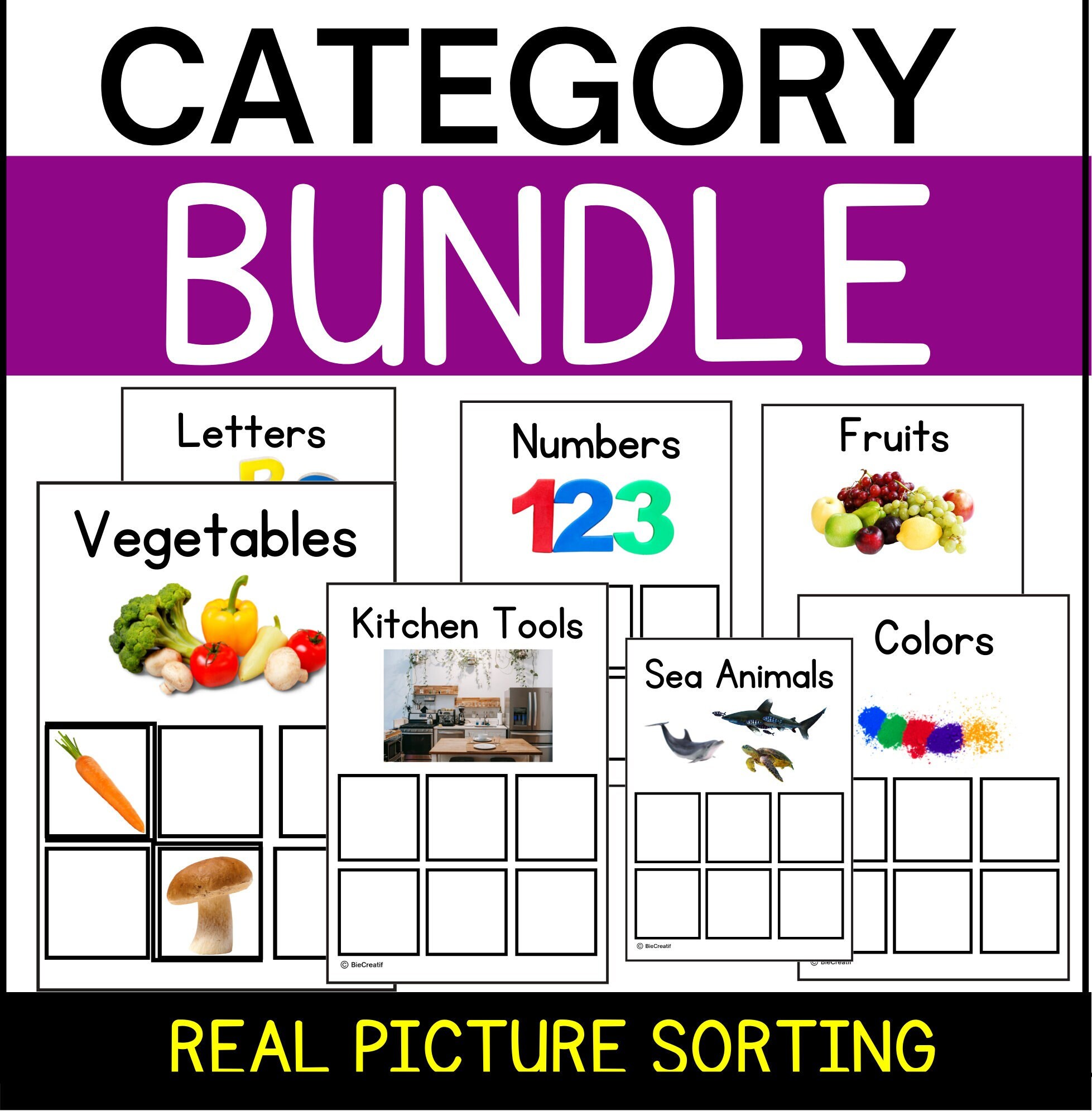 Category Matching Activity | Sorting Mat| Early Education| Special ...