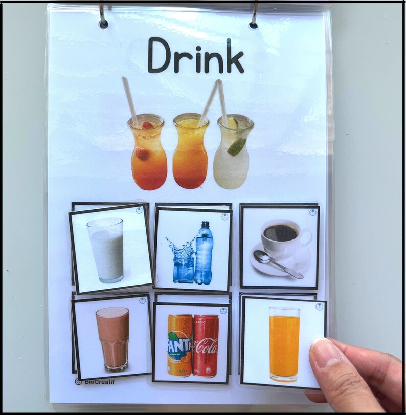 Category Matching Activity | Sorting Mat| Early Education| Special ...