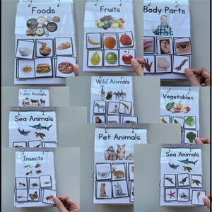 Category Matching Activity | Sorting Mat| Early Education| Special ...