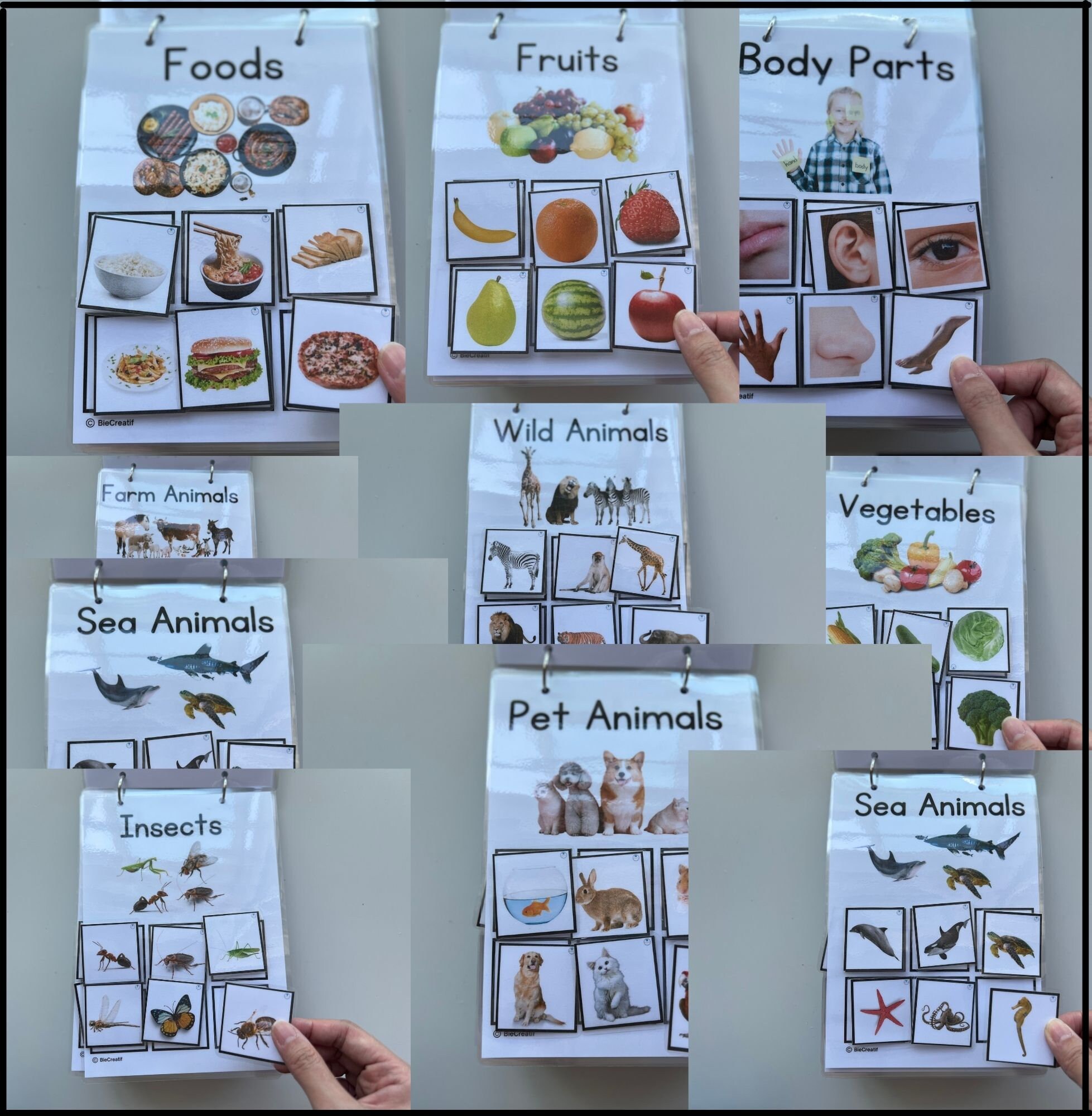 Category Matching Activity | Sorting Mat| Early Education| Special ...