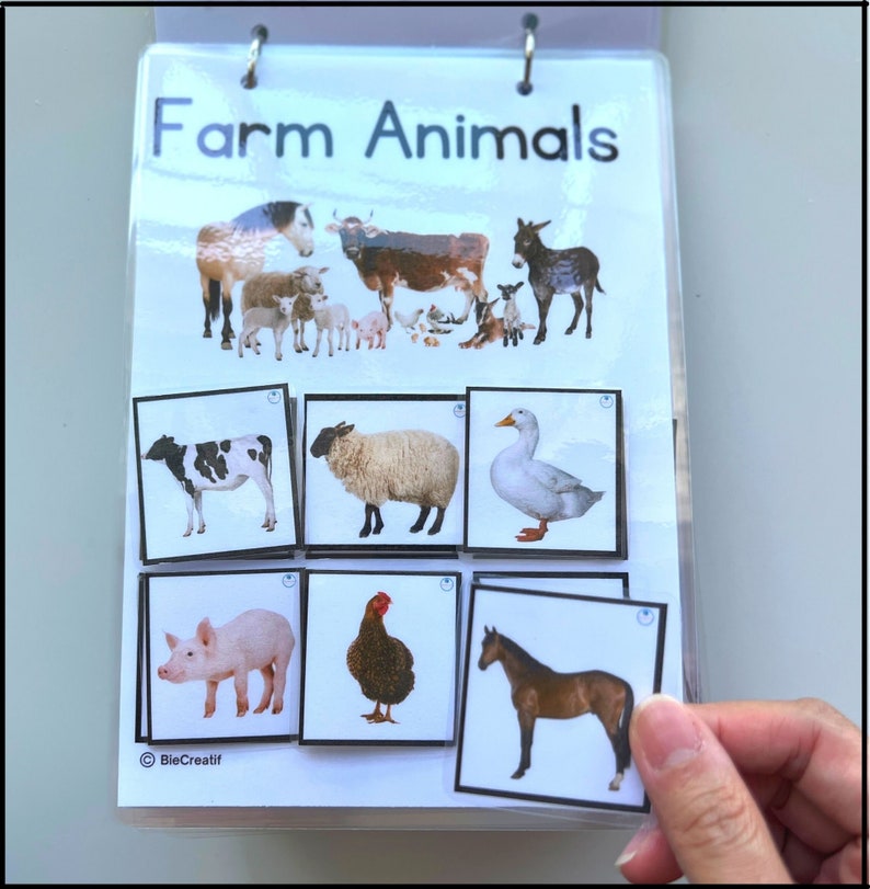 Category Matching Activity | Sorting Mat| Early Education| Special ...