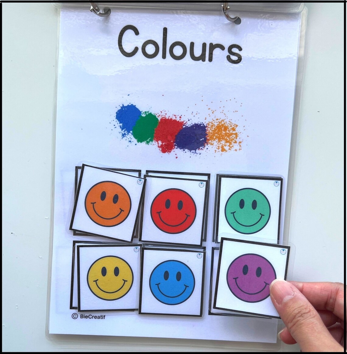 Category Matching Activity Sorting Mat Early Education - Etsy