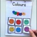 Category Matching Activity | Sorting Mat| Early Education| Special ...