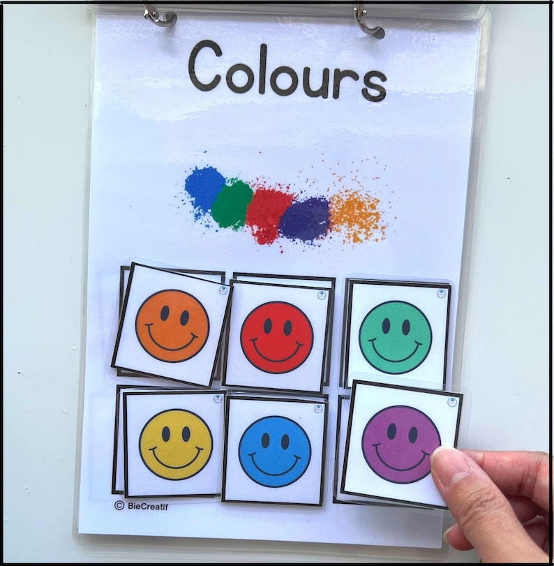 Category Matching Activity | Sorting Mat| Early Education| Special ...