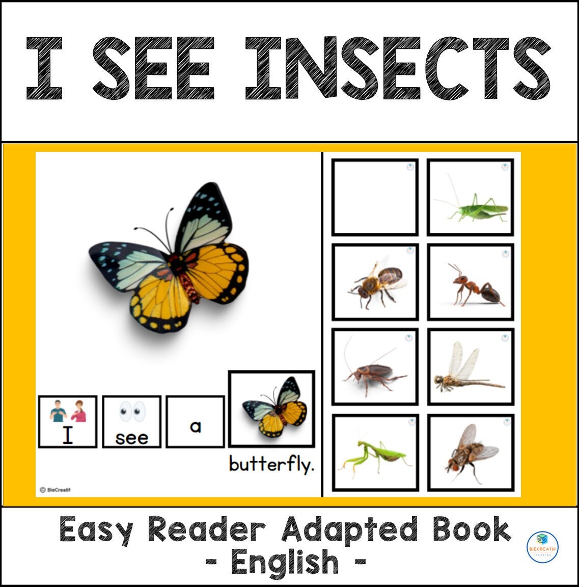 Insects I SEE Adapted Interactive Book | Easy Reader | Special ...