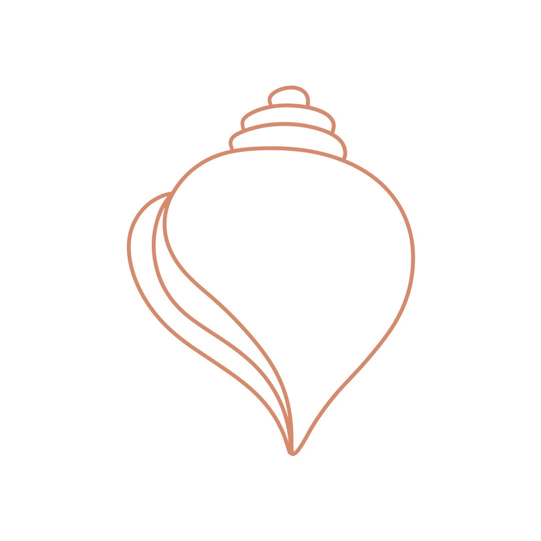 Sea Shell 4 Cookie Cutter STL, Digital Downloads for Cookie Decorating ...