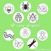 Bug Royal Icing Transfer Sheets, Set of 10 Printable Sheets, Digital ...