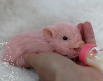 Silicone Pig | Etsy