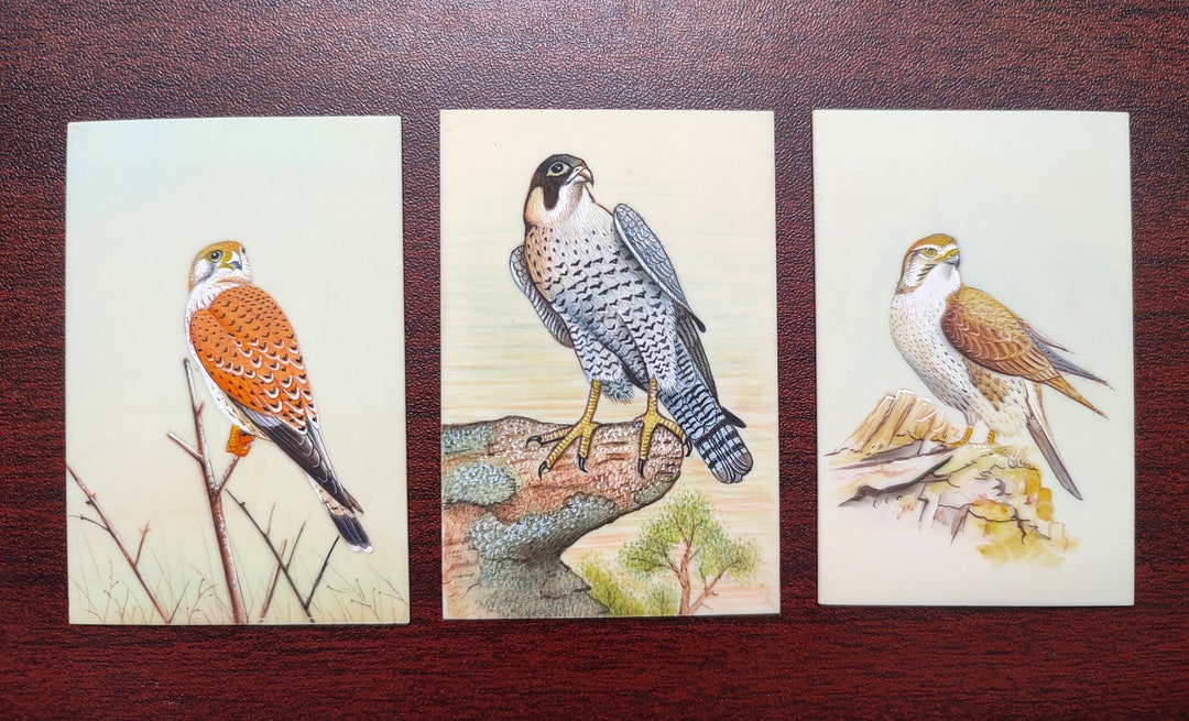 Indian Miniature Painting Falcon Painting Hawk Painting - Etsy