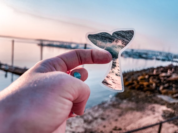 Fluke Sticker Wave Sticker Whale Tail Fluke Dolphin | Etsy