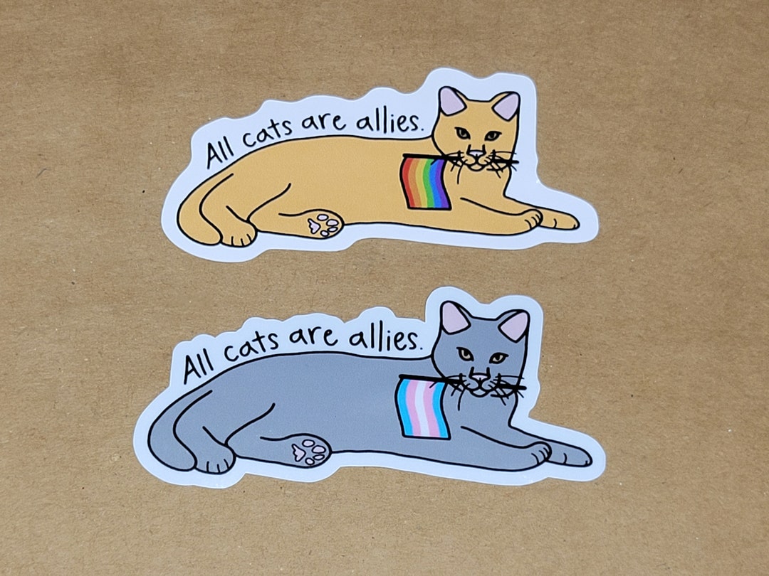 LGBTQ Pride Sticker, Queer Cat Sticker for Water Bottle, Laptop ...