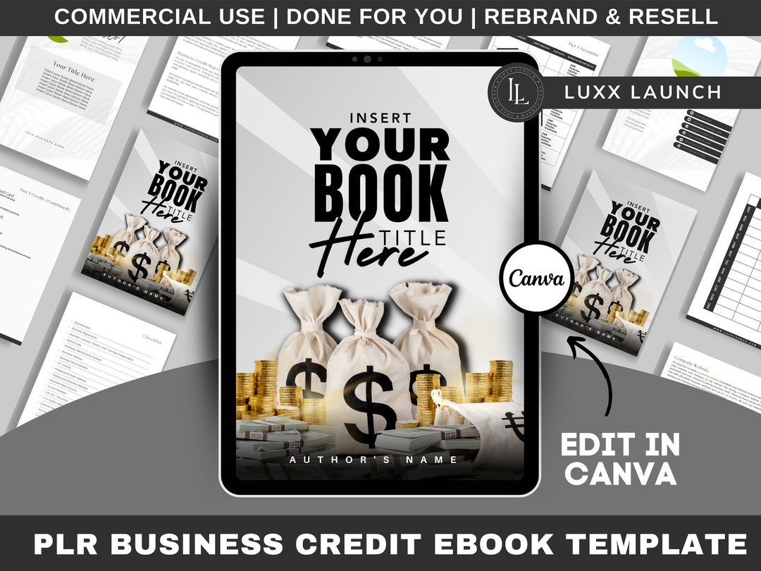PLR Business Credit Guide | Business Credit PLR Template | Business ...