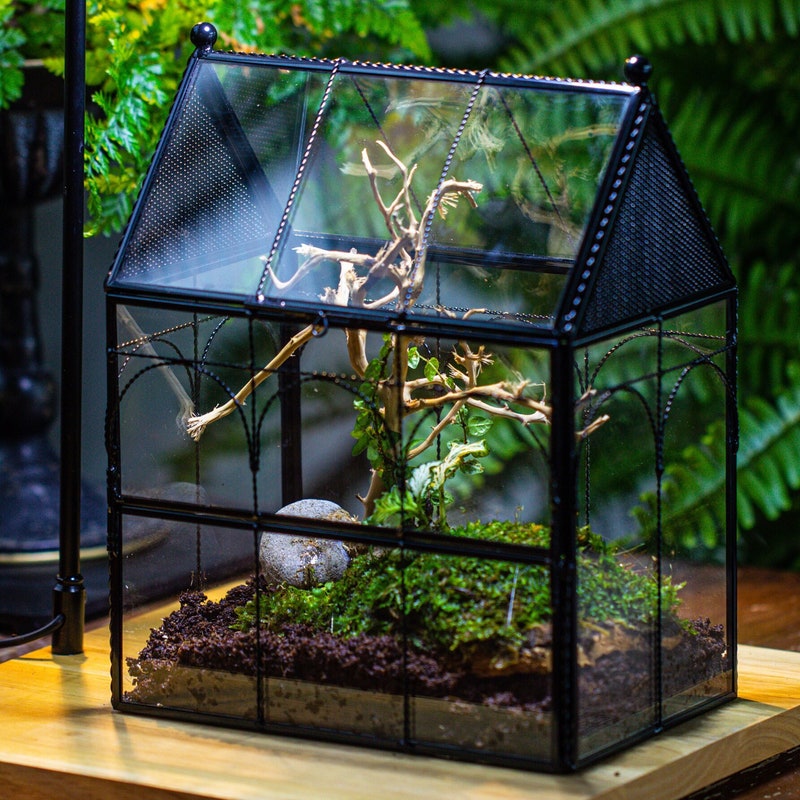 Jumping Spider Enclosure - Etsy