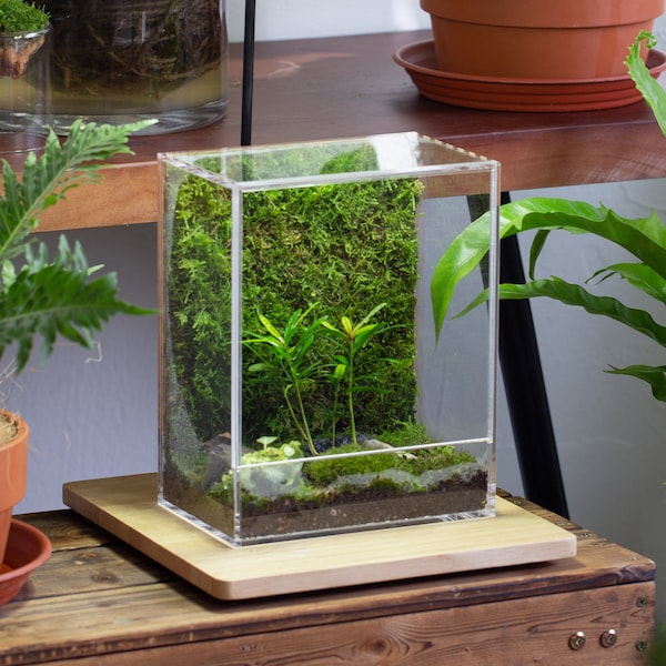 Water Terrarium - Etsy