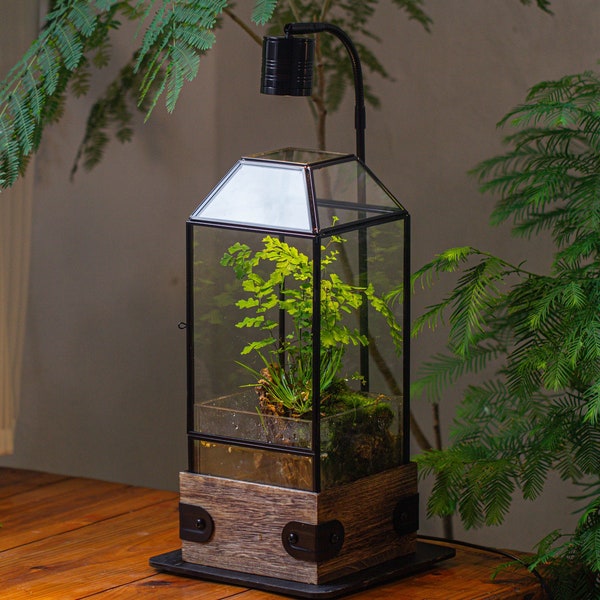 Terrarium Lamp - Etsy