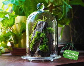 Glass Cloche Bell Jar Extra Large - Etsy