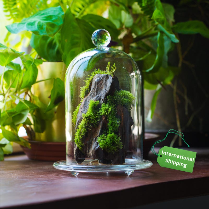 Bell Jar Fairy - Etsy UK