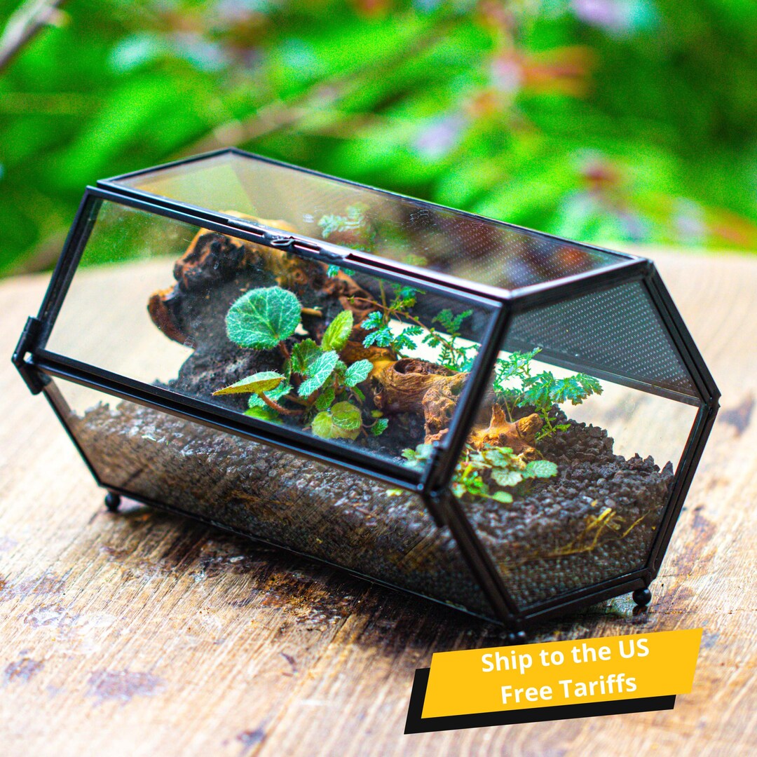 Ship to US Small Stainless Steel Hexagon Shaped Enclosure Terrarium ...