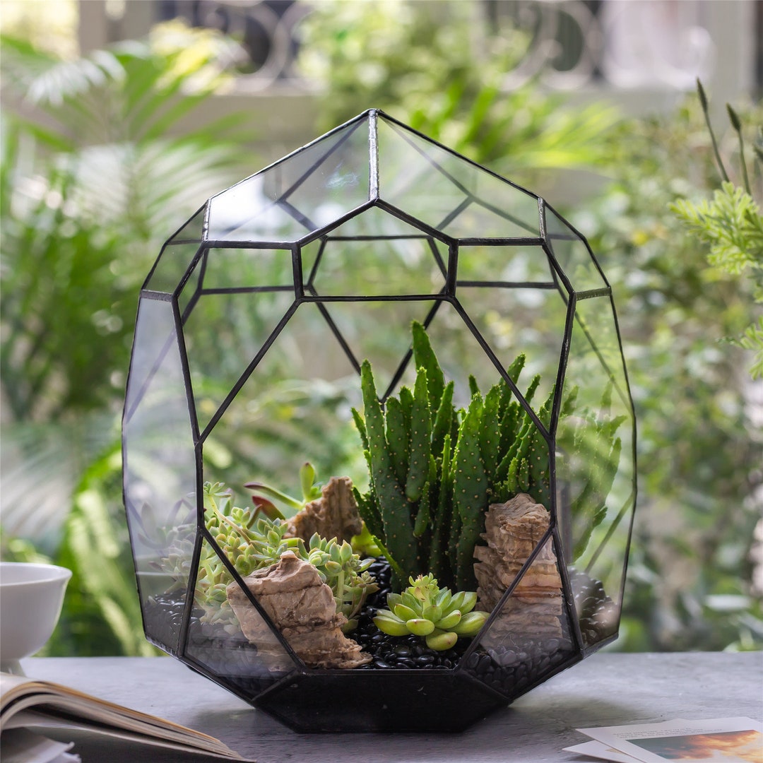 Open Bubble Shape Glass Terrarium, Irregular Terrarium for Plants ...