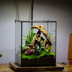 Handmade 10'' Cube Closed Geometric Glass Tin Terrarium Kit With LED ...