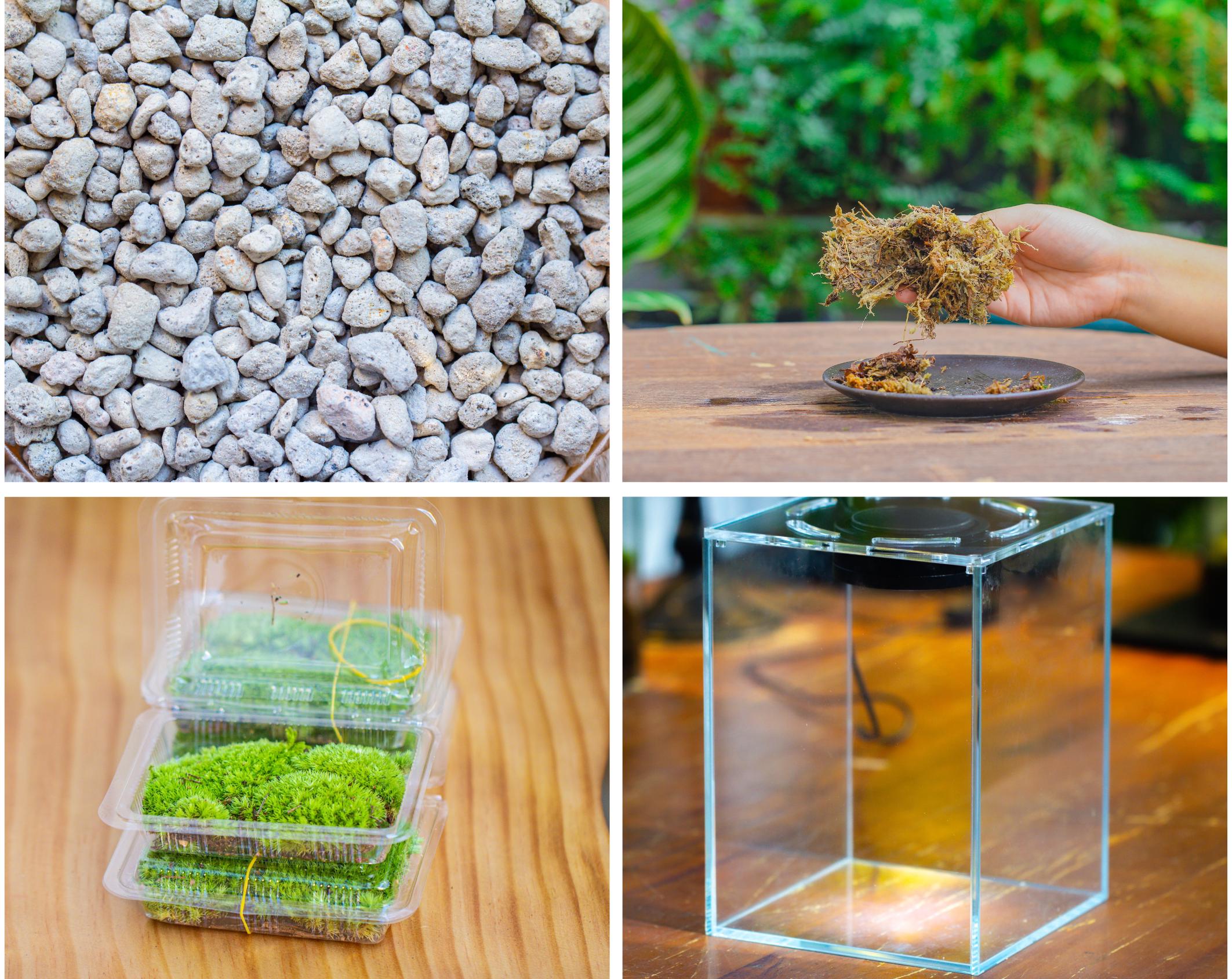 Watertight Glass Tank With LED Grow Lamp, Acrylic Lid, DIY Planting ...