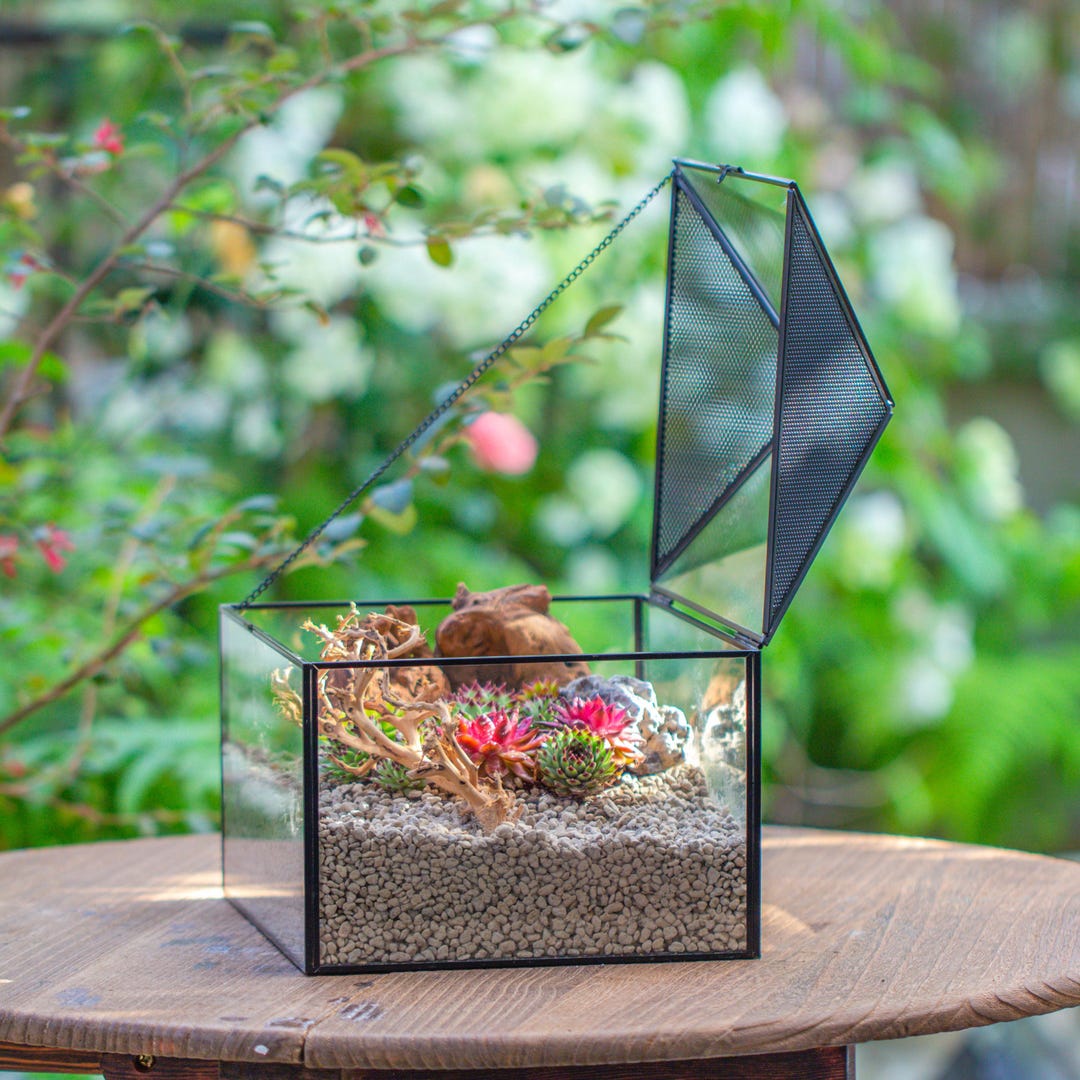 Ship to Worldwide Handmade Large House Shape Terrarium Enclosure With ...