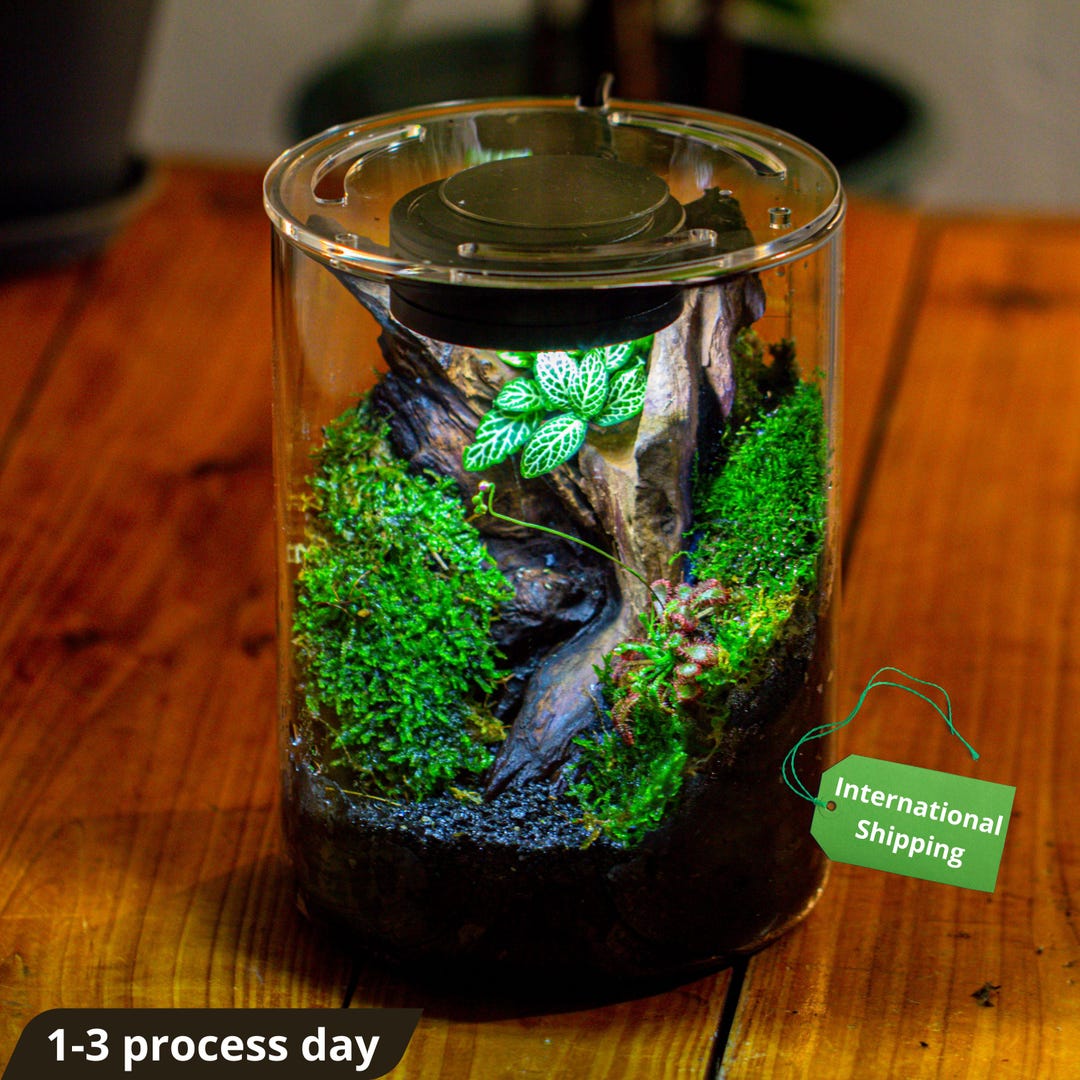 Watertight Cylinder Terrarium With LED Grow Lamp, Acrylic Lid With Mesh ...