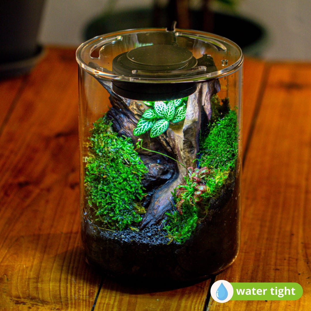 Watertight Cylinder Terrarium With LED Grow Lamp, Acrylic Lid With Mesh ...