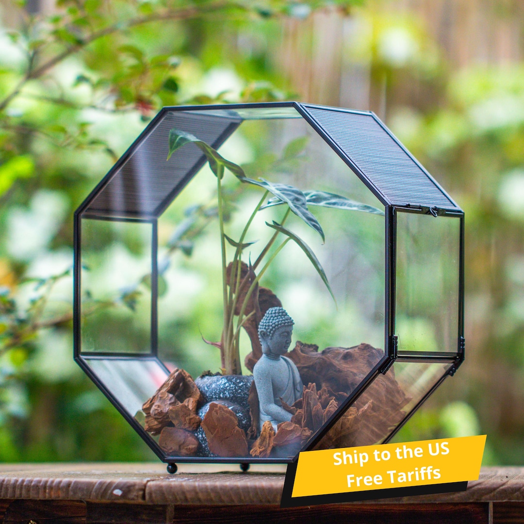 Ship to US Handmade Geometric Terrarium, Large Octagon Glass Jump ...