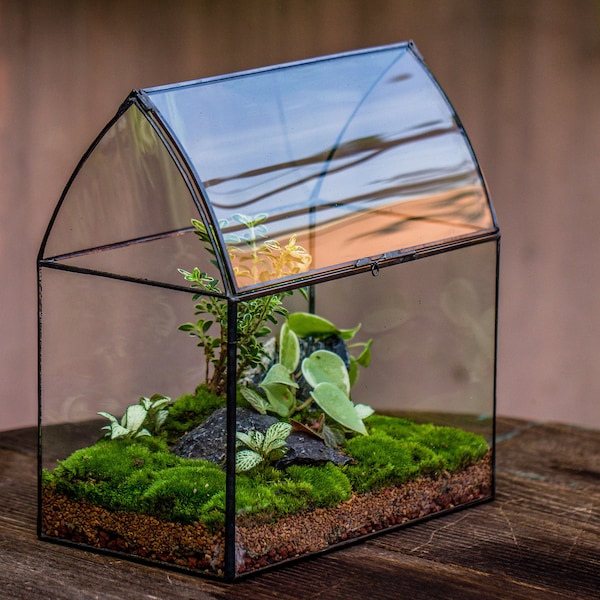 Closed Terrarium - Etsy