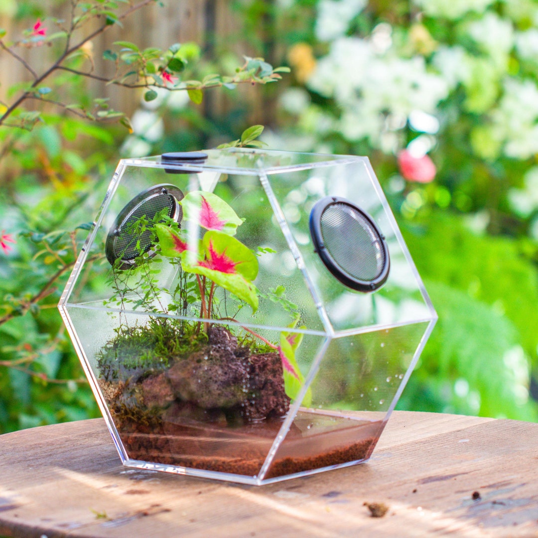 Handmade Extra Large Acrylic Hexagon Watertight Enclosure Terrarium ...