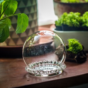 Mini Glass Dome With Glass Bottom, Cloche Set for Plants, Moss Ball ...