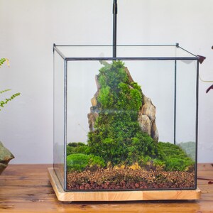 Handmade 10'' Cube Closed Geometric Glass Tin Terrarium Kit With LED ...