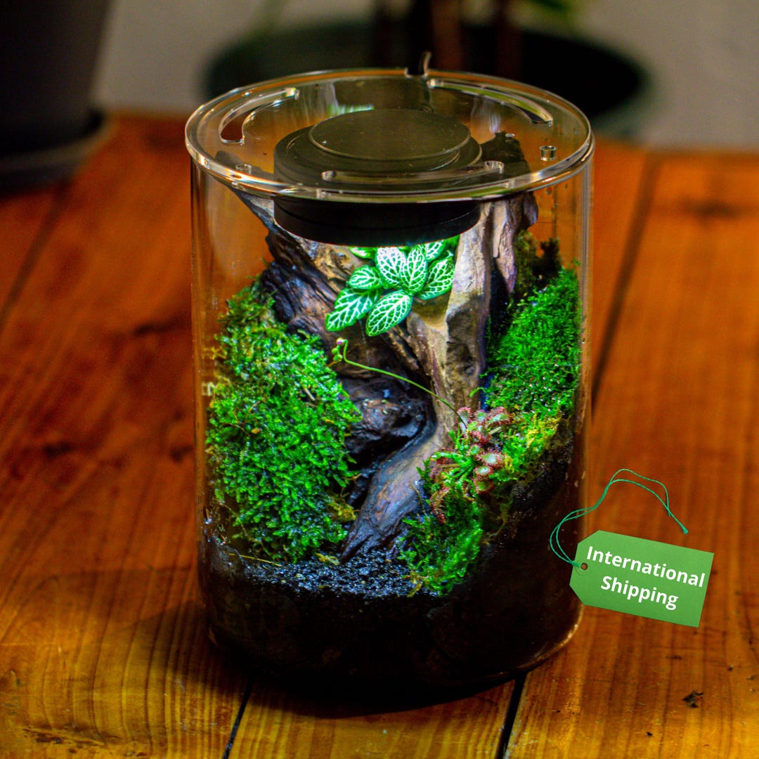 Watertight Cylinder Terrarium With LED Grow Lamp, Acrylic Lid With Mesh ...