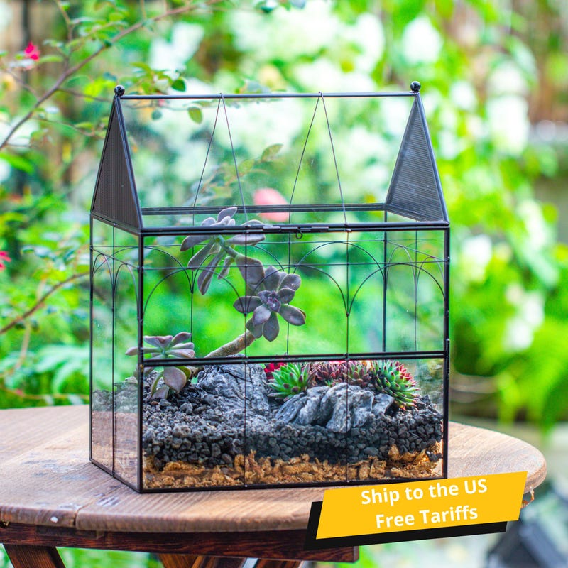 Terrarium Geometric - Etsy