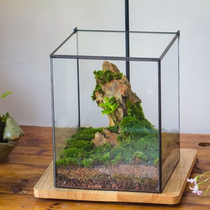 Handmade 10'' Cube Closed Geometric Glass Tin Terrarium Kit With LED ...