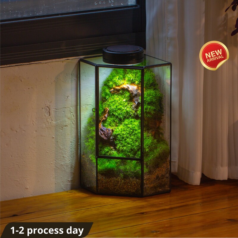 Flower Terrarium - Etsy