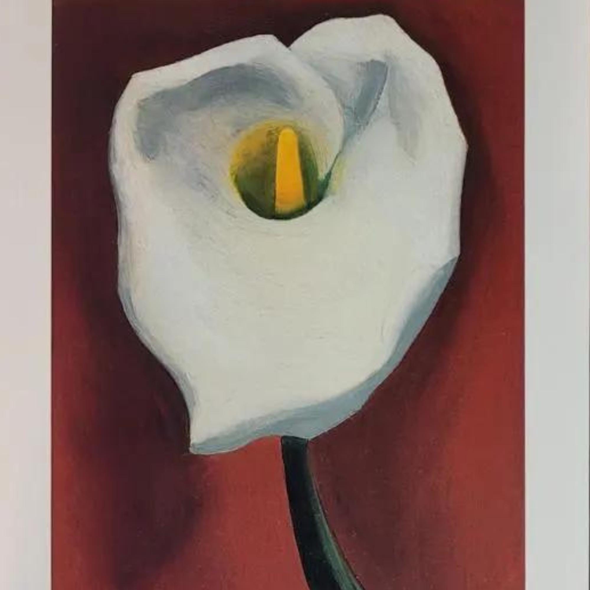 Georgia O'keeffe calla Lily Vintage 1991 Print 12x15 Framed With Mat ...
