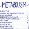 Metabolic Pathways Map - Aesthetic Digital Illustration - Etsy UK