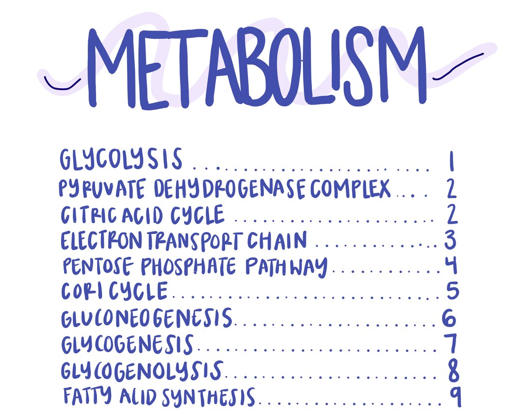 MCAT Metabolism Pathways PDF - Etsy