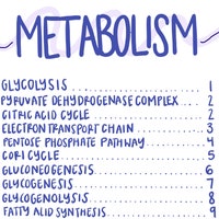 Metabolic Pathways Map - Aesthetic Digital Illustration - Etsy UK